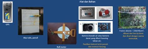 Seputar Terumbu Karang Teknik Pengambilan Data Metode Transek Foto Bawah Air Underwater Photo