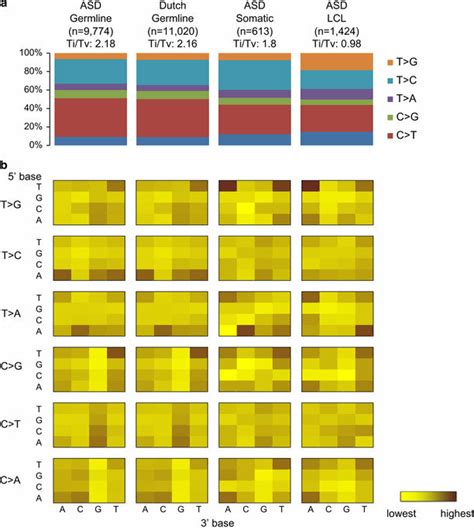 sequence context of regions with de novo mutations a transition ti