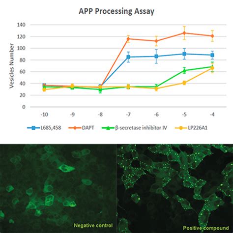 App Processing Assay Innoprot App Processing Assay