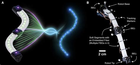 Shape Reconstruction Of Soft Continuum Robots Via The Fusion Of Local
