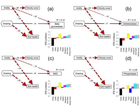 4 Structural Equation Model For Extracellular Enzyme Activities A