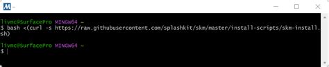 Bash