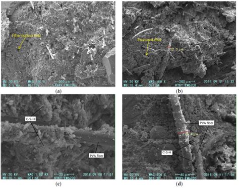 Pva Reinforced Cementitious Composite Microstructure A Without Ns Download Scientific