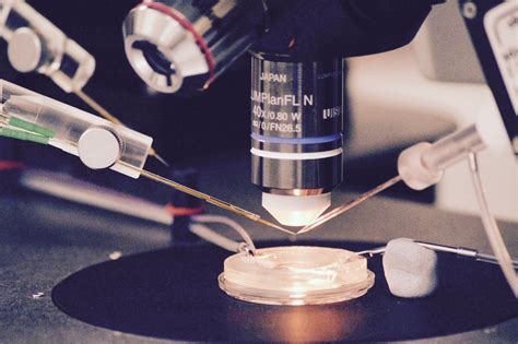 Plasticitylab Methods