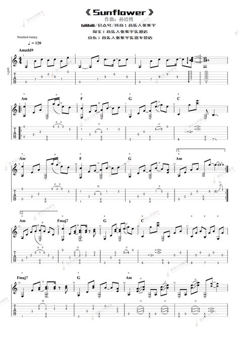 《sun Flower指弹吉他谱》