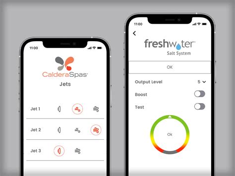 Effortlessly Monitor And Control Your Hot Tub With The Caldera Spas App Caldera Spas