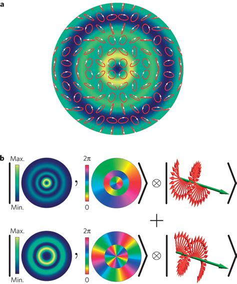An Example Of Structured Light A Composite Image Showing Transverse