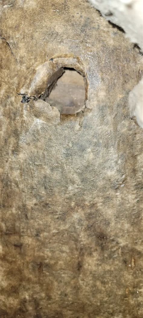 Flat Roof Insulation Diynot Forums