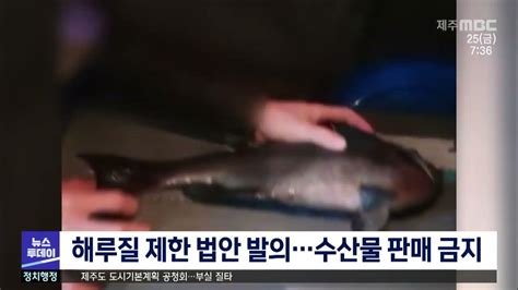 해루질 제한 법안 발의수산물 판매 금지 Youtube