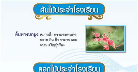 รวมรูปภาพของ เปิดประวัติ และ ค่าเทอม โรงเรียนดาราสมุทร ศรีราชา เรียนที่นี่ต้องเสียเท่าไหร่