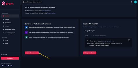 面向初学者的数据摄取 Qdrant 向量数据库