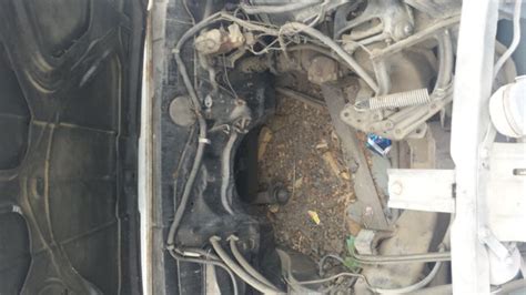 Camaro 67 Classic Chevrolet Camaro 1967 For Sale