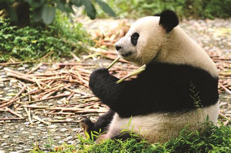 Roshini Sreenivas On Linkedin This Is Excellent Humans Solving