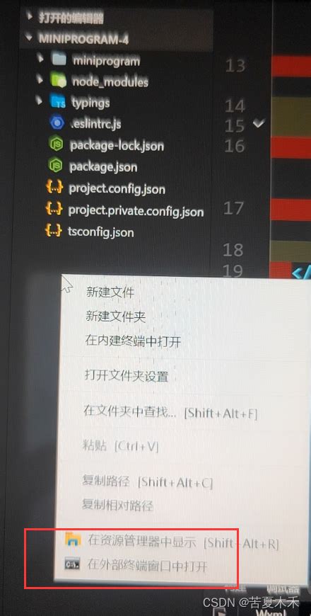 微信小程序构建npm（js和ts）npm 外部终端 Csdn博客