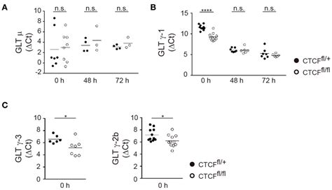 Ccctc Binding Factor Ctcf Deficiency Enhances Germline