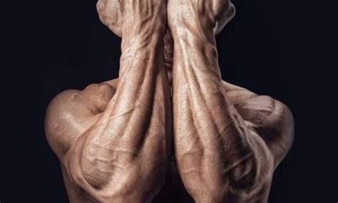 The Best Dumbbell Forearm Exercises A Comprehensive Guide