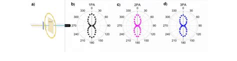 A Schematic For Measuring The Pl Polarization When The Input Download Scientific Diagram