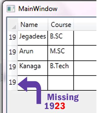 C Binding Not Working In WPF Datagrid Second Row Header Stack Overflow