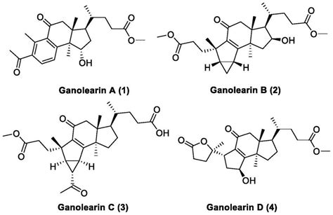 反柄紫芝中a环开环降三萜类化合物及其药物组合物和应用