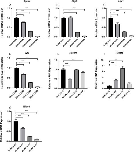 Microarray Differential Hippo Pathway Related Mrna Expression Levels