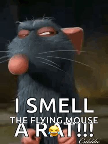 Ratatouille Remy  Ratatouille Remy I Smell A Rat Discover