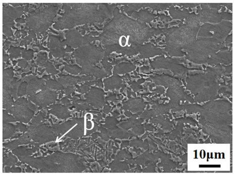 Effect Of Heating On Hot Deformation And Microstructural Evolution Of