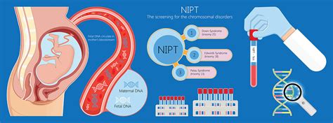 Non Invasive Prenatal Testing Nipt Bangkok Hospital