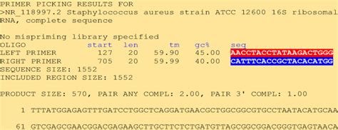 Detail Of Primers Sequences Used To Amplify Staphylococcus Aureus 16s Download Scientific