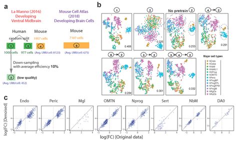 Mouse To Human Transfer Learning Improves Denoising Of Single Cell Download Scientific Diagram