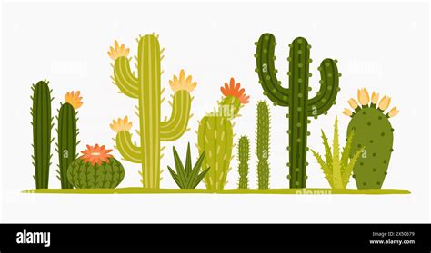 Mexican Desert Cactus Green Cartoon Collection Flora Flora Stock Vector