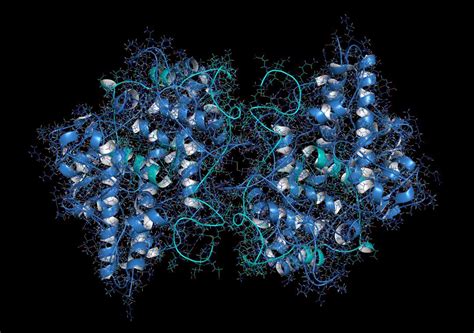 Knowledge Graphs In Biomarker Discovery And Validation Wisecube Ai Research Intelligence Platform