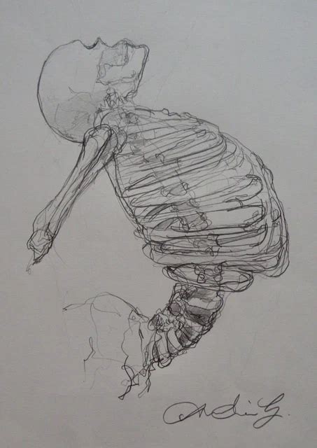 Original Pencil Line Sketch Drawing Of A Skeleton Torso On Ivory White