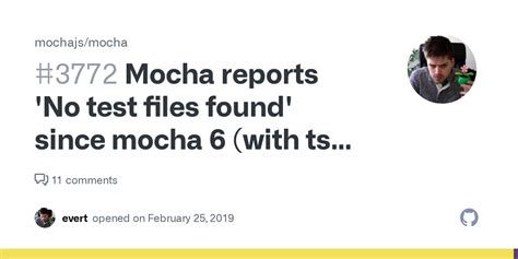 Mocha Reports No Test Files Found Since Mocha 6 With Ts Node