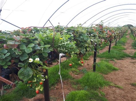 David Cope On Linkedin Sustainability Farming Sdgs