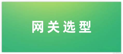 「架构选型」5 种 api 网关技术选型 api网关有哪些 csdn博客