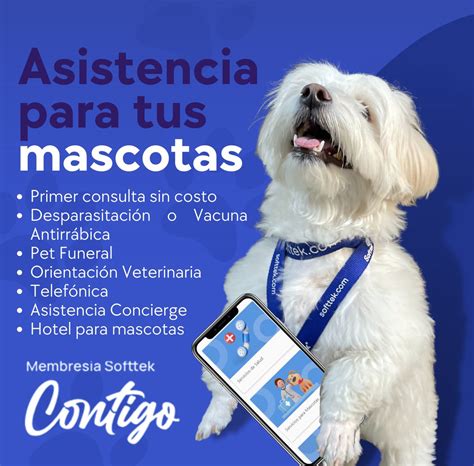 Erika Mú On Linkedin Hiring Development Vacancies Software