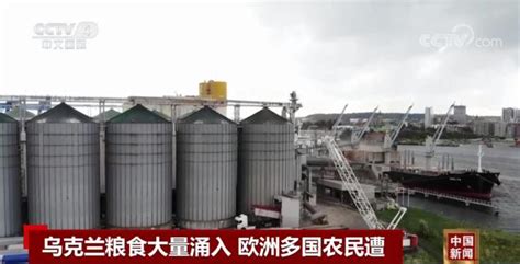 Украины үр тарианы экспорт Европын тариаланчдад цохилт болов