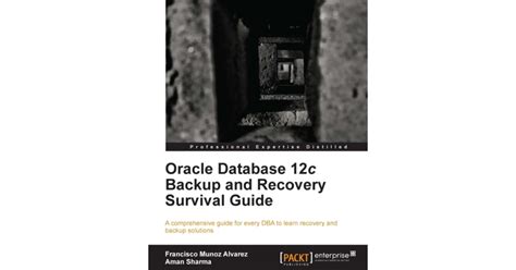 Finding Sessions That Generate Lots Of Redo Oracle Database C Backup And Recovery Survival