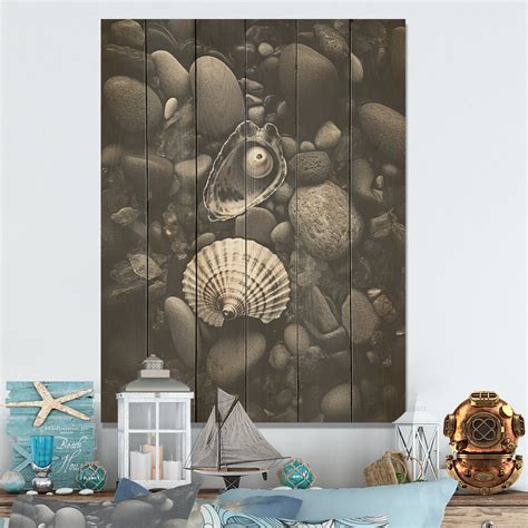 Ophelia And Co Monochrome Seashells And Stones Seashell Wood Wall Art On