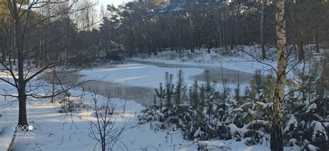 Kik Van Der Willigen Vond Zijn Vermoorde Vader In Bed ‘in Het Bos Wilde Hij De Rest Van Zijn