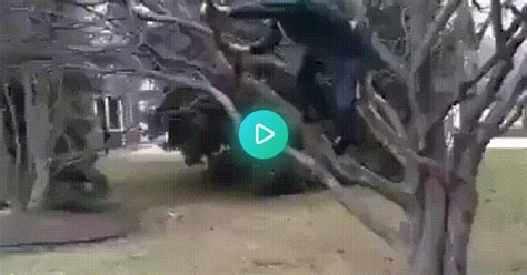 I Know Kung Fu  On Imgur