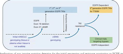 Figure 1 From Applications Of Cell Free Circulating Tumor Dna Detection In Egfr Mutant Lung
