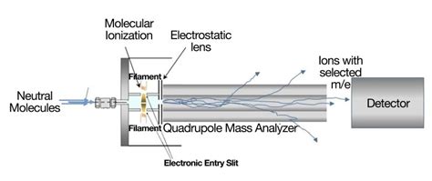 Mass Spectrometry
