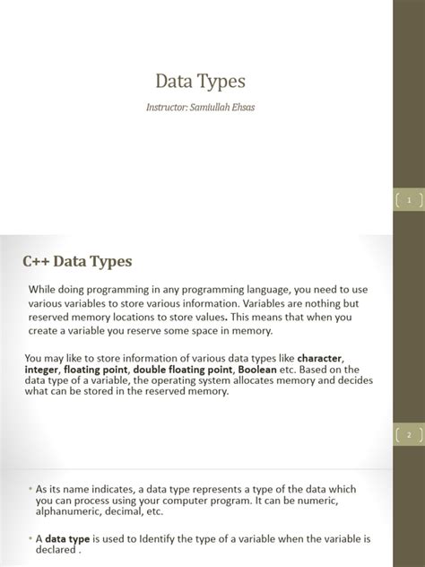 3 data types in c pdf data type integer computer science