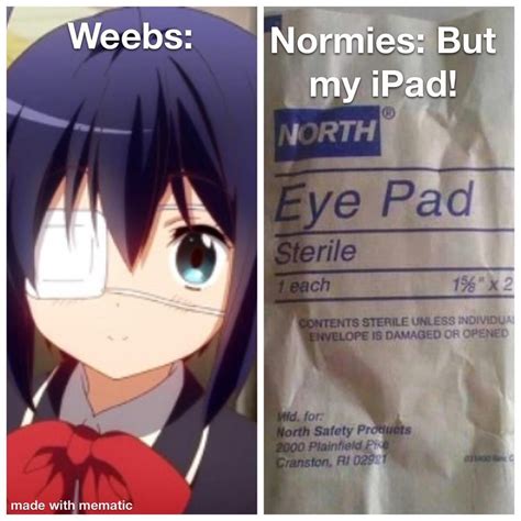 Ipads Rgoodanimemes