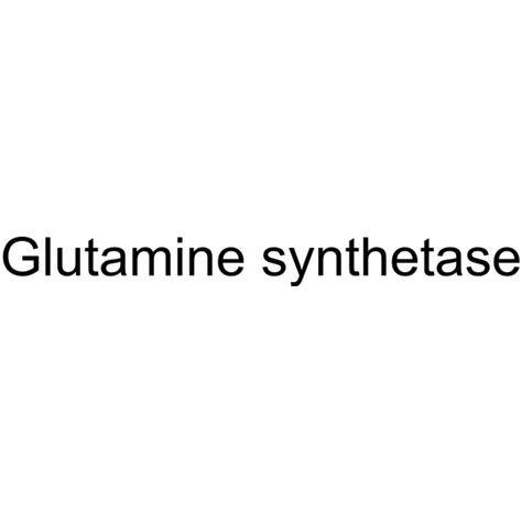 Glutamine Synthetase Biochemical Reagent Medchemexpress