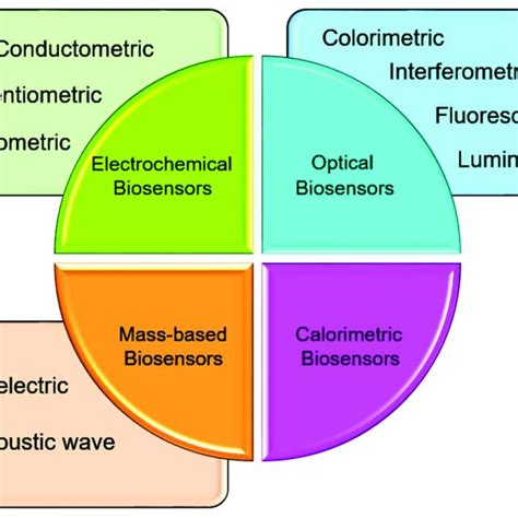 Scheme Of An Electrochemical Biosensor Biological Sensing Elements Are Download Scientific