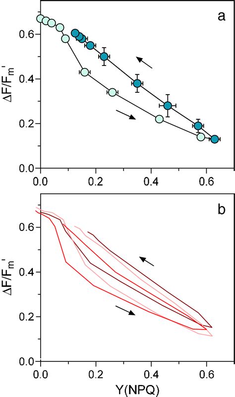 Alternative Way Of Representing The Hysteresis Loop By Plotting