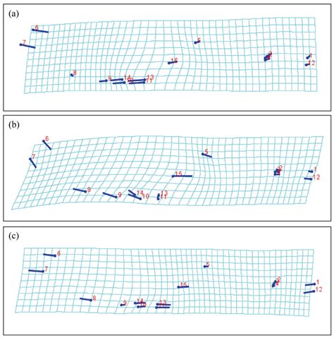 thin plate spline deformation grids of wing shape variation in