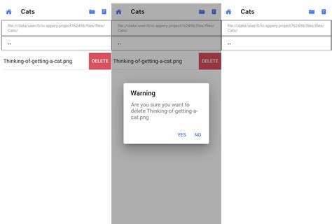 Ionic File System Plugin App